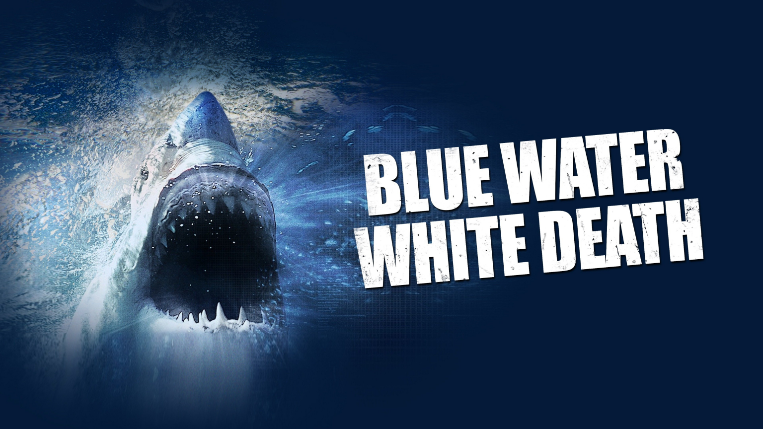 10 bộ phim về cá mập cực hay, mọt đã xem chưa? | Phim Mỹ HD